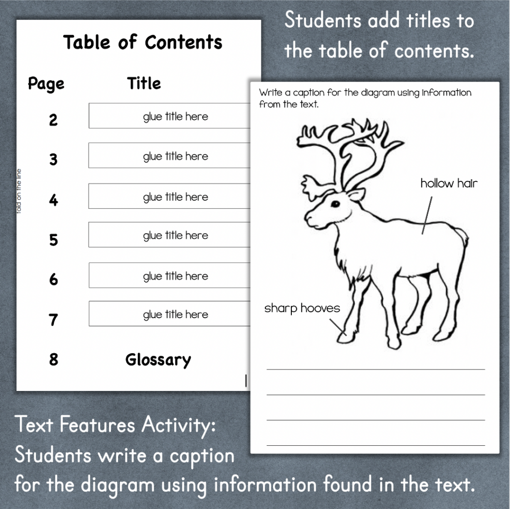 REINDEER Interactive Reading Comprehension Book - Made By Teachers