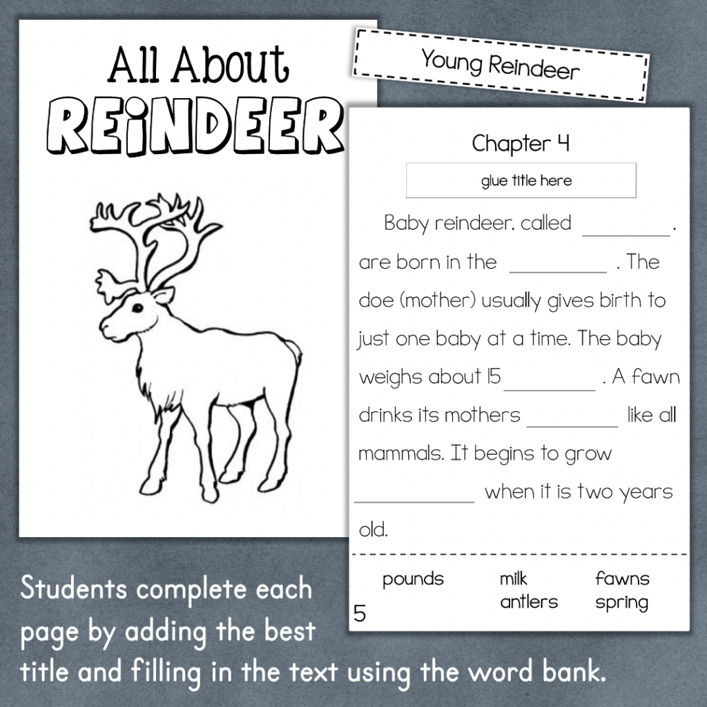 REINDEER Interactive Reading Comprehension Book - Made By Teachers