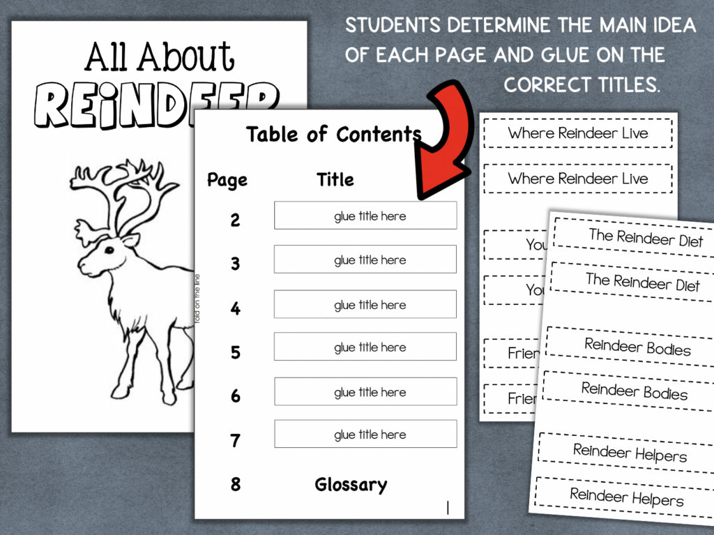 REINDEER Interactive Reading Comprehension Book - Made By Teachers