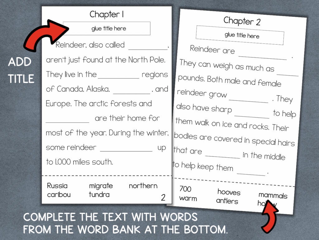 REINDEER Interactive Reading Comprehension Book - Made By Teachers