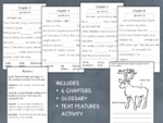 REINDEER Interactive Reading Comprehension Book - Made By Teachers