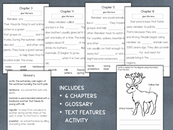 REINDEER Interactive Reading Comprehension Book - Made By Teachers