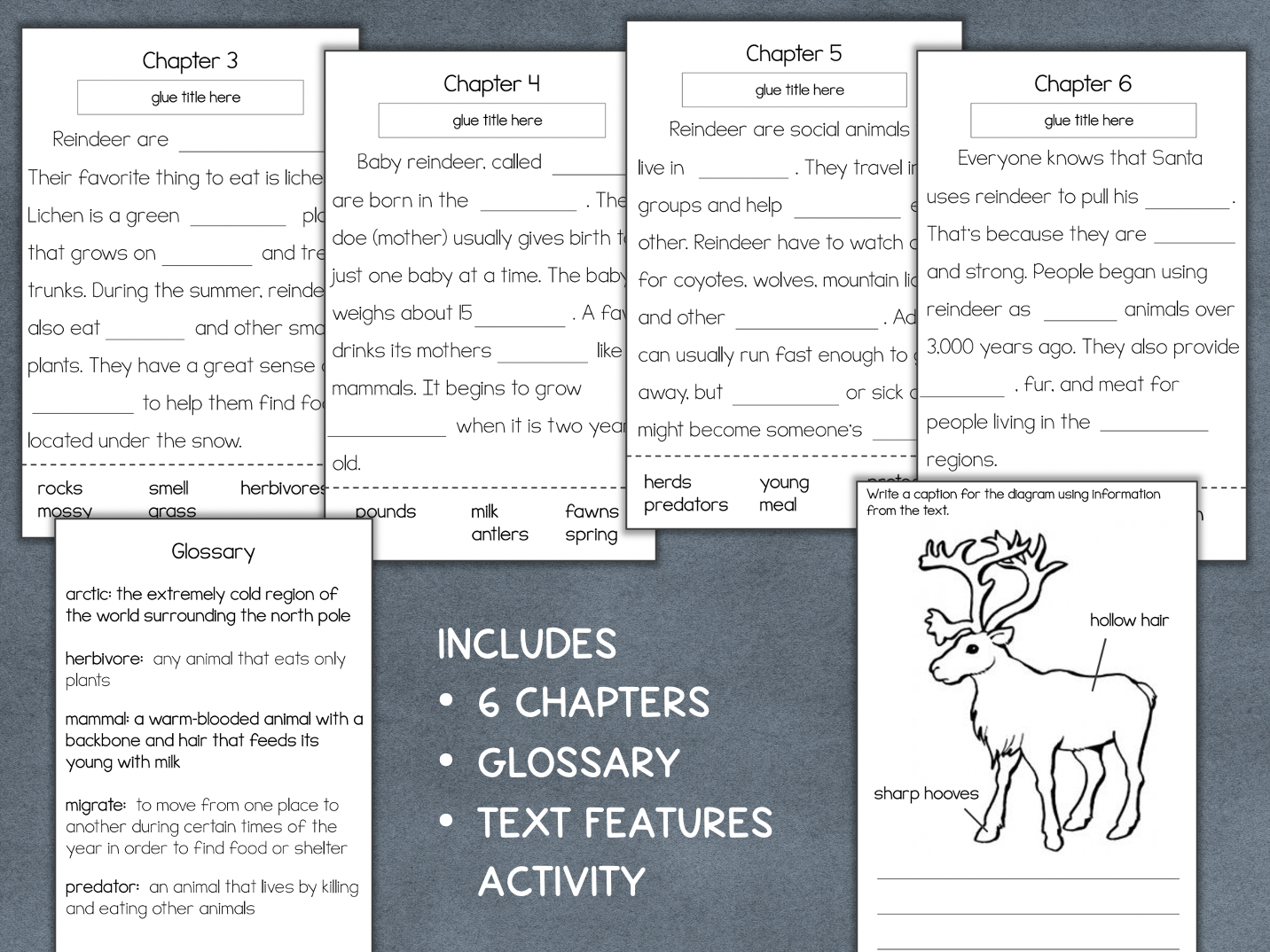 REINDEER Interactive Reading Comprehension Book - Made By Teachers
