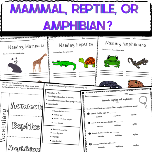 Mammals, Reptiles, and Amphibians Worksheets and B | Made By Teachers