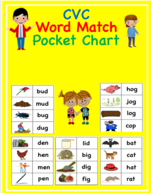 CVC Words Pocket Chart Sorting - Made By Teachers