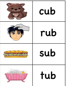 CVC Words Pocket Chart Sorting - Made By Teachers