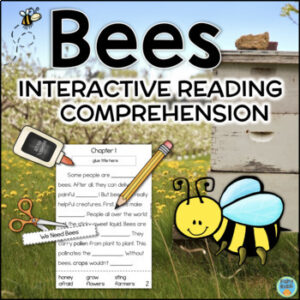 All About BEES Reading Comprehension Interactive | Made By Teachers