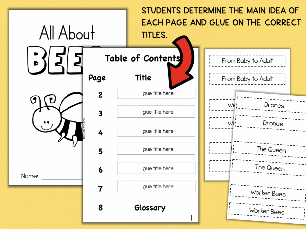 All About BEES Reading Comprehension Interactive | Made By Teachers