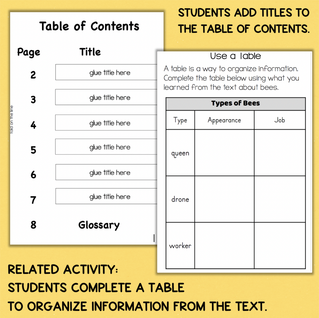 All About BEES Reading Comprehension Interactive | Made By Teachers