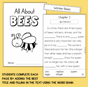 All About BEES Reading Comprehension Interactive | Made By Teachers