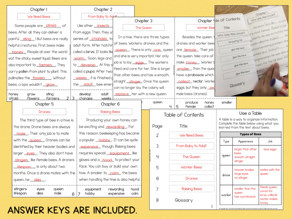 All About BEES Reading Comprehension Interactive - Made By Teachers