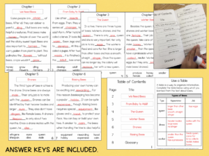 All About BEES Reading Comprehension Interactive - Made By Teachers