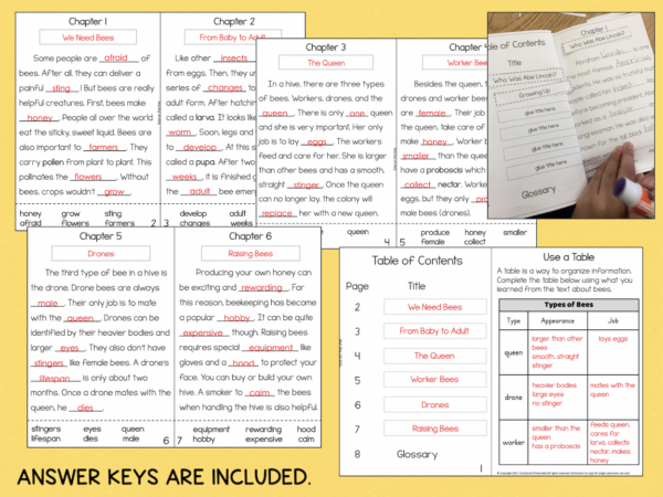 All About BEES Reading Comprehension Interactive | Made By Teachers