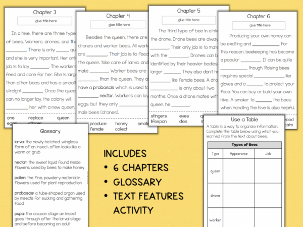 All About BEES Reading Comprehension Interactive | Made By Teachers