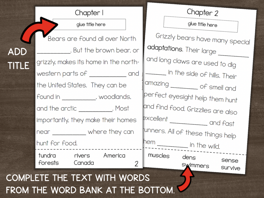 Grizzly Bears Interactive Reading Comprehension - Made By Teachers