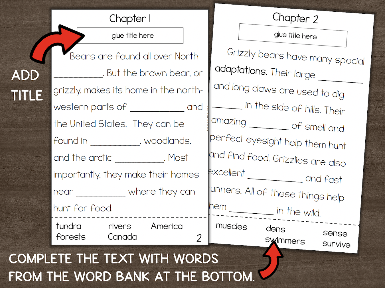 Grizzly Bears Interactive Reading Comprehension - Made By Teachers