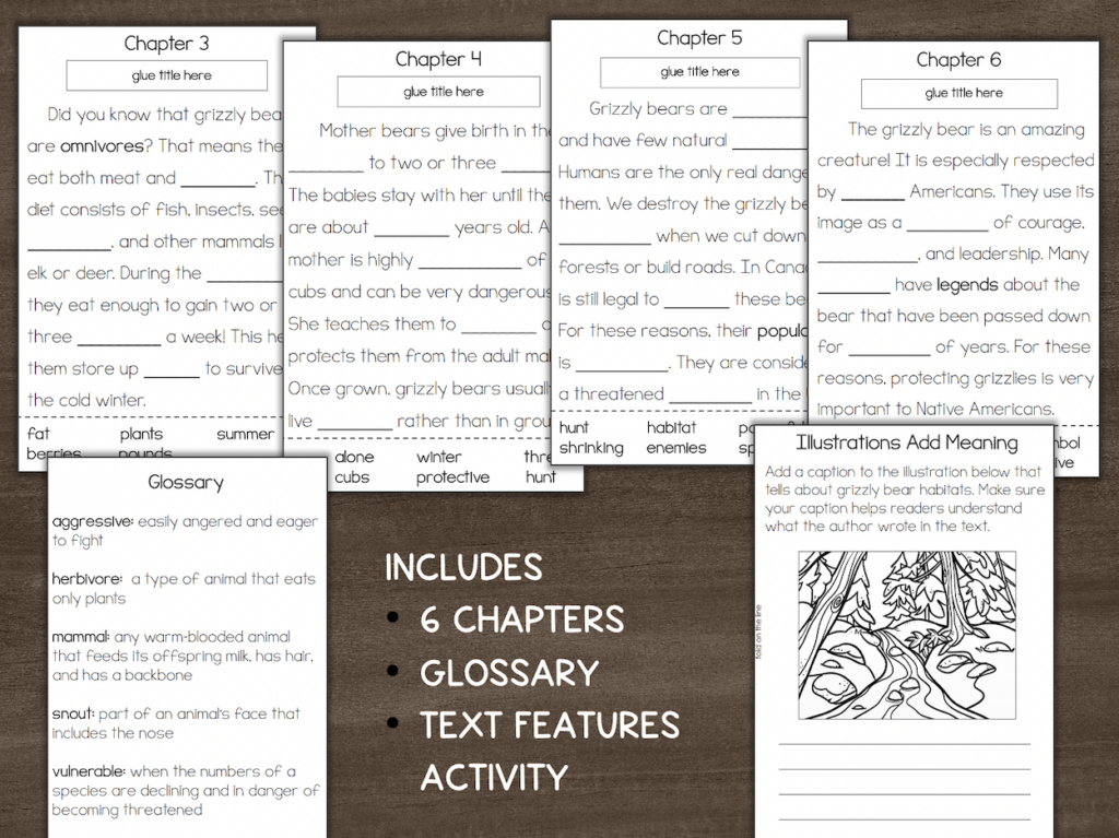 Grizzly Bears Interactive Reading Comprehension - Made By Teachers