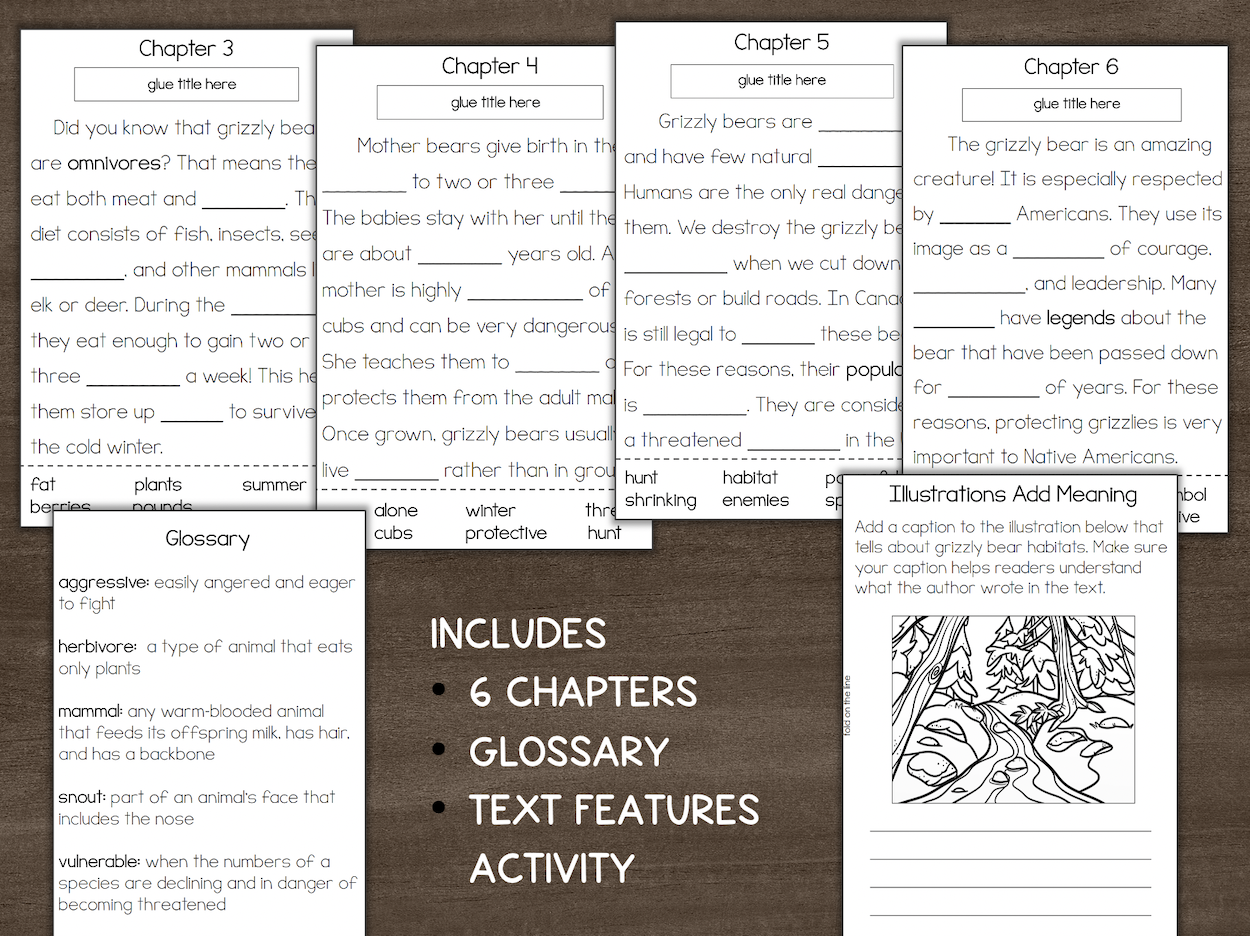 Grizzly Bears Interactive Reading Comprehension - Made By Teachers