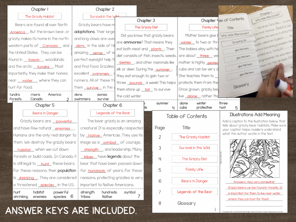 Grizzly Bears Interactive Reading Comprehension - Made By Teachers