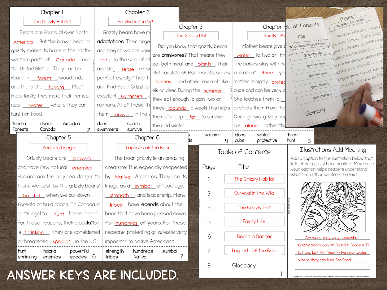 Grizzly Bears Interactive Reading Comprehension - Made By Teachers