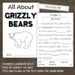 Grizzly Bears Interactive Reading Comprehension - Made By Teachers