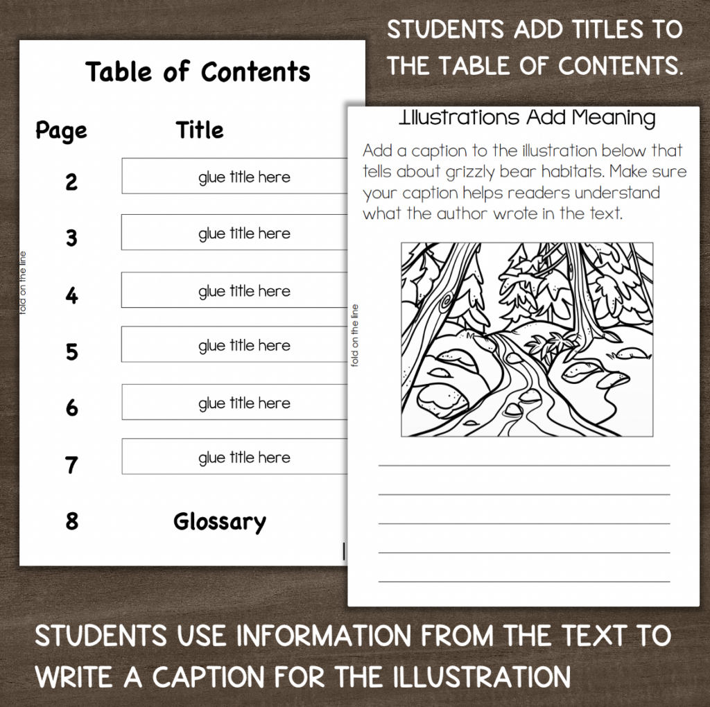 Grizzly Bears Interactive Reading Comprehension - Made By Teachers