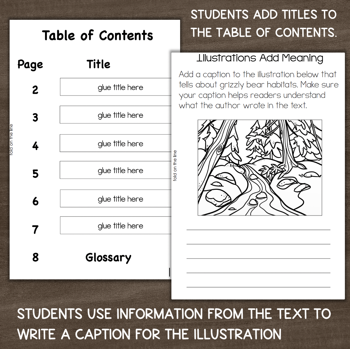 Grizzly Bears Interactive Reading Comprehension - Made By Teachers
