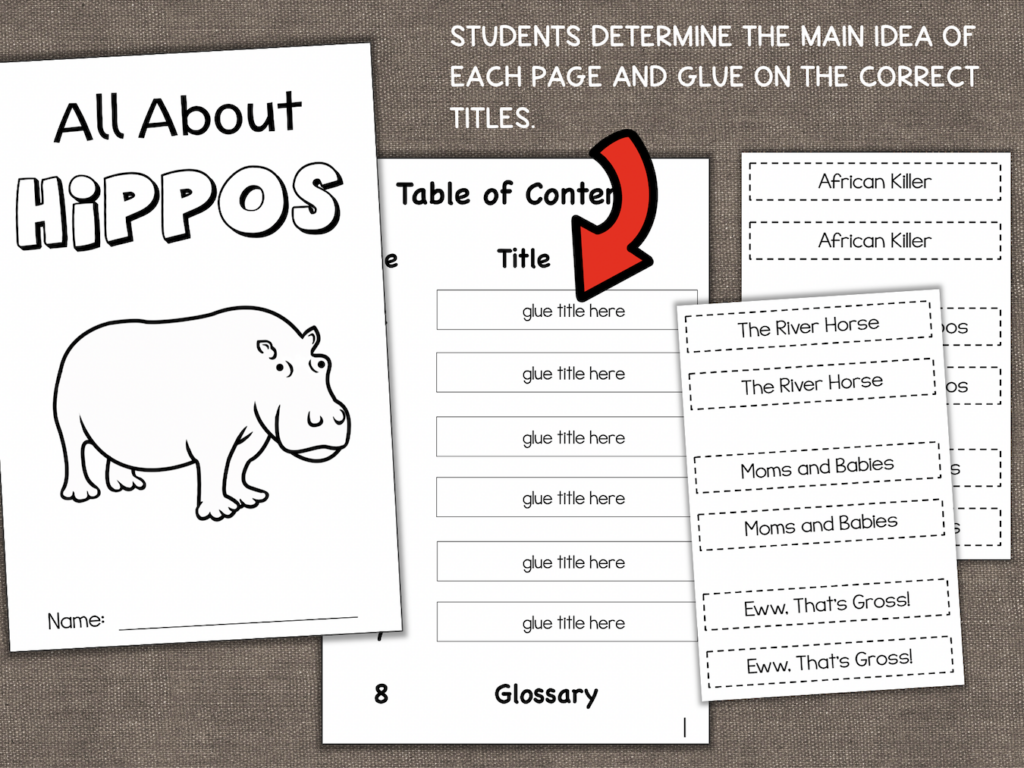 Hippos Hippopotamus Reading Comprehension - Made By Teachers