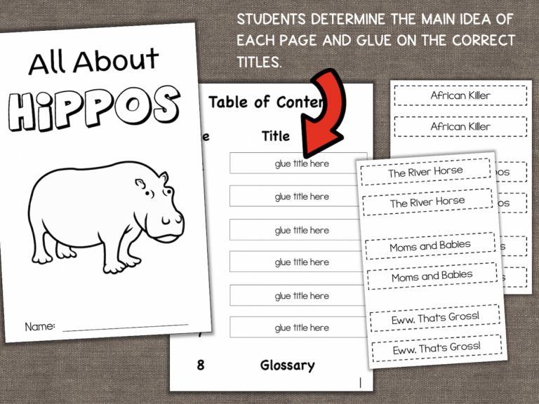 Hippos Hippopotamus Reading Comprehension - Made By Teachers