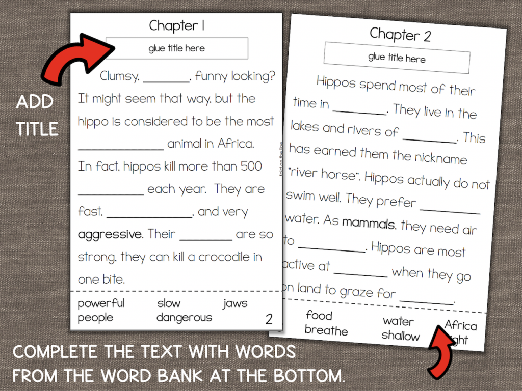 Hippos Hippopotamus Reading Comprehension - Made By Teachers