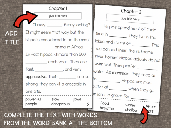 Hippos Hippopotamus Reading Comprehension - Made By Teachers