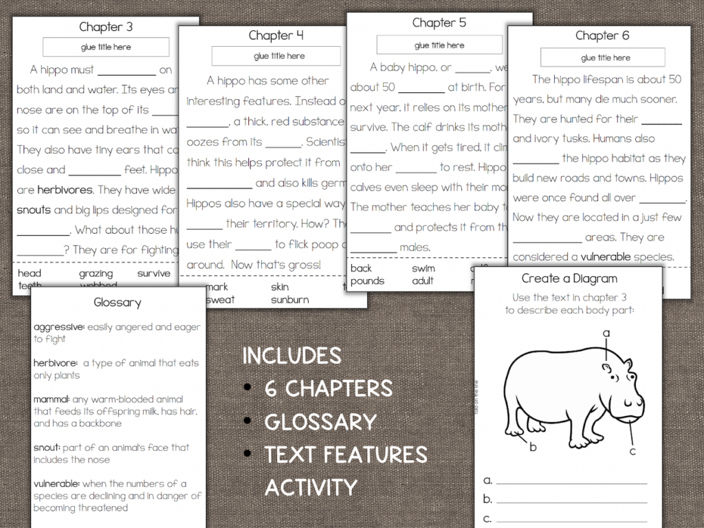 Hippos Hippopotamus Reading Comprehension - Made By Teachers