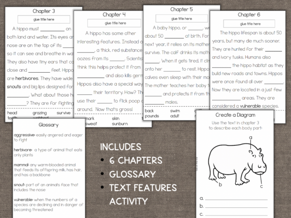 Hippos Hippopotamus Reading Comprehension - Made By Teachers