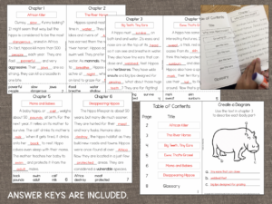 Hippos Hippopotamus Reading Comprehension - Made By Teachers