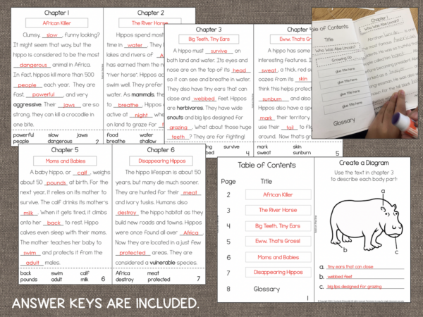 Hippos Hippopotamus Reading Comprehension - Made By Teachers