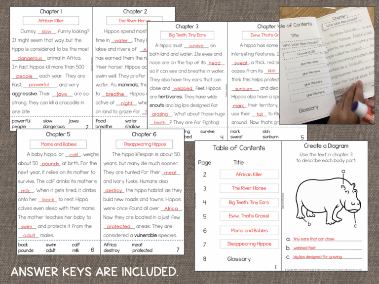 Hippos Hippopotamus Reading Comprehension - Made By Teachers