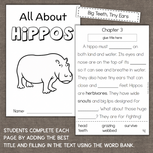 Hippos Hippopotamus Reading Comprehension - Made By Teachers