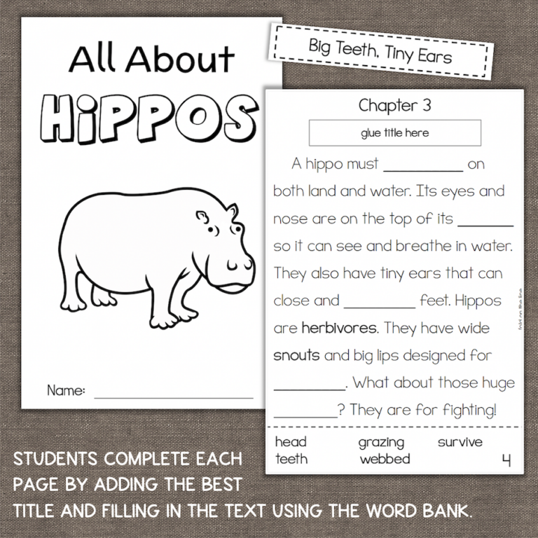 Hippos Hippopotamus Reading Comprehension - Made By Teachers