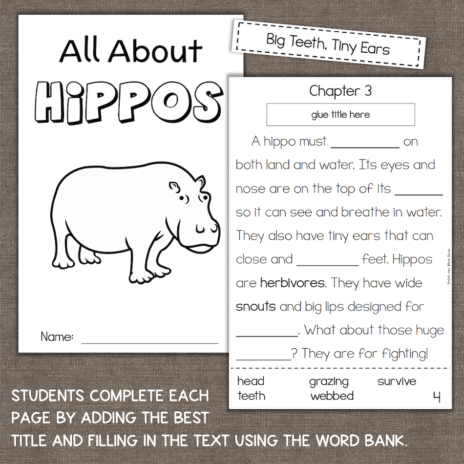 Hippos Hippopotamus Reading Comprehension - Made By Teachers