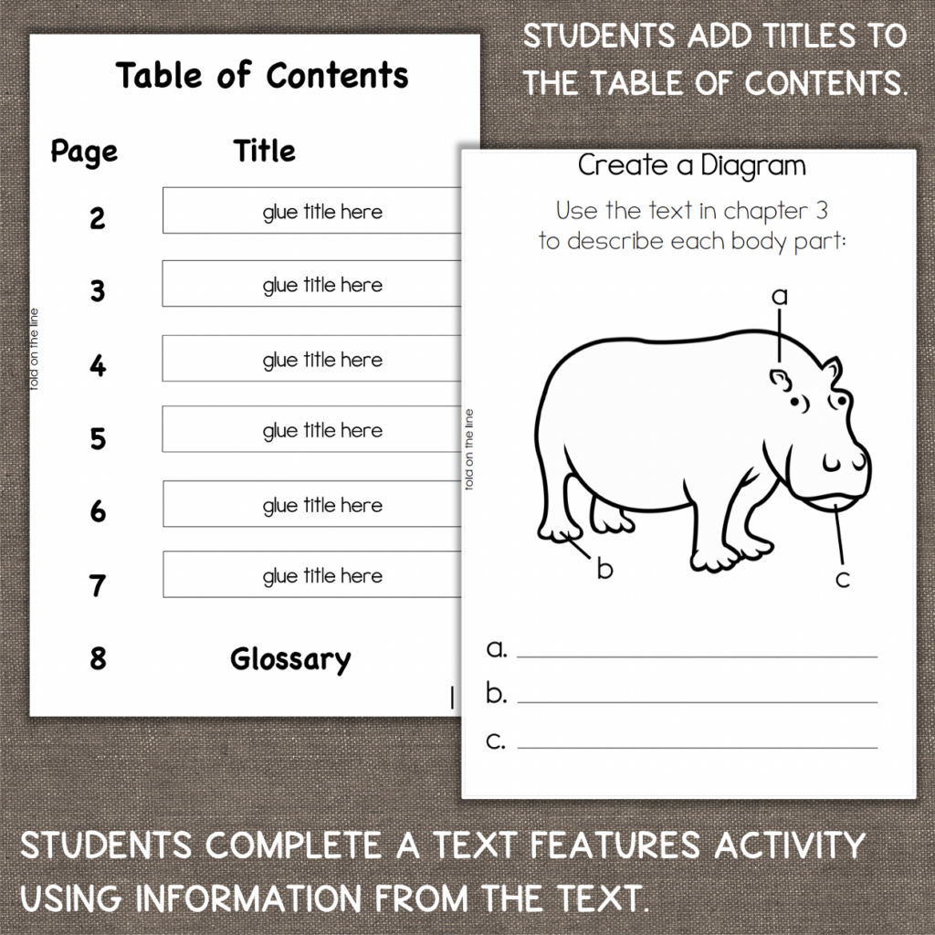 Hippos Hippopotamus Reading Comprehension - Made By Teachers