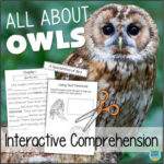 All About OWLS Reading Comprehension Activity - Made By Teachers