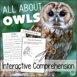 All About OWLS Reading Comprehension Activity - Made By Teachers