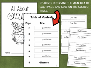 All About OWLS Reading Comprehension Activity - Made By Teachers