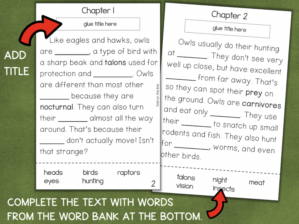 All About OWLS Reading Comprehension Activity - Made By Teachers
