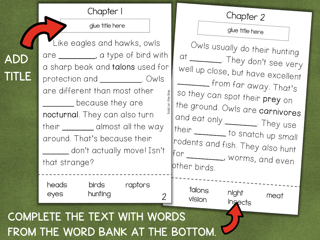 All About OWLS Reading Comprehension Activity | Made By Teachers