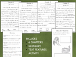 All About OWLS Reading Comprehension Activity - Made By Teachers