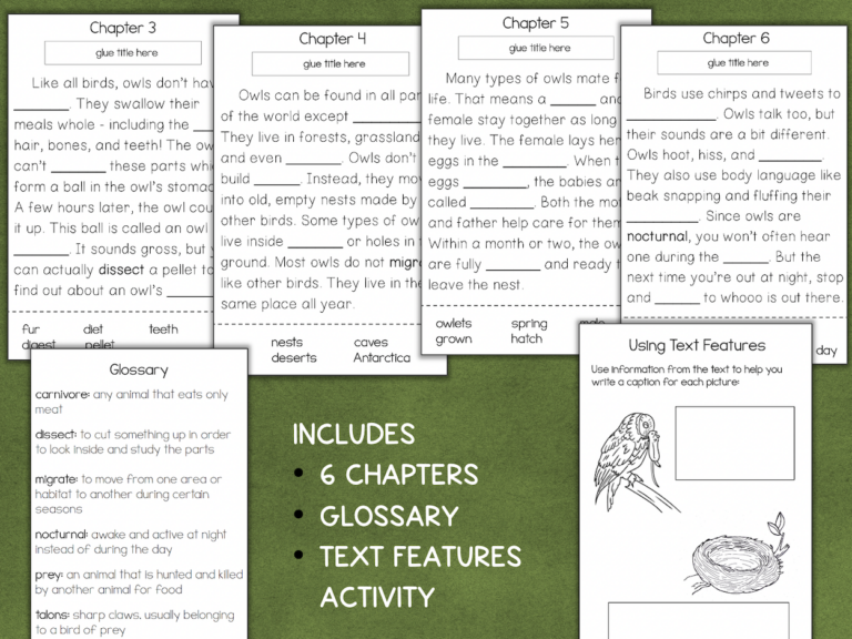 All About OWLS Reading Comprehension Activity - Made By Teachers
