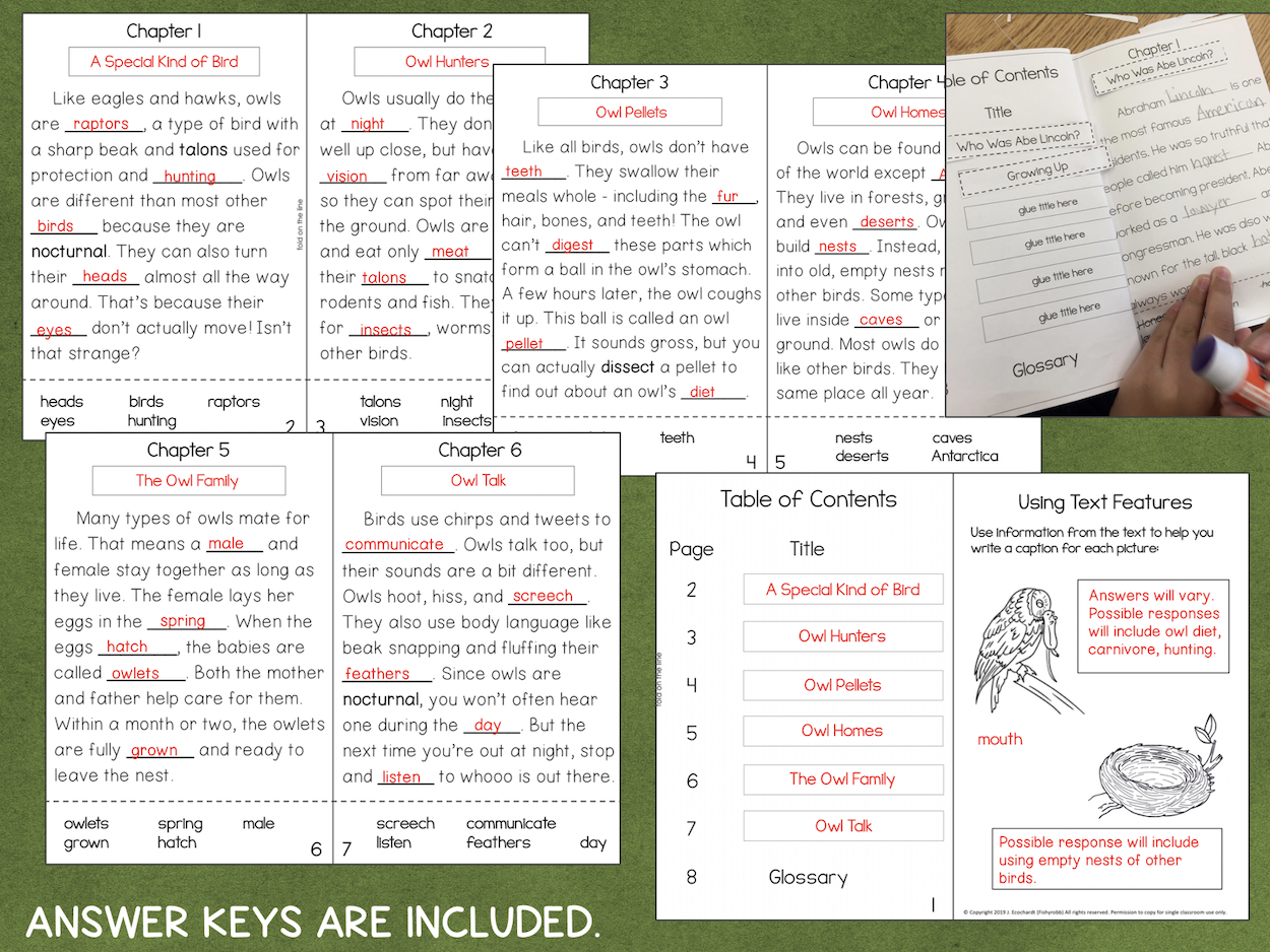 All About OWLS Reading Comprehension Activity | Made By Teachers