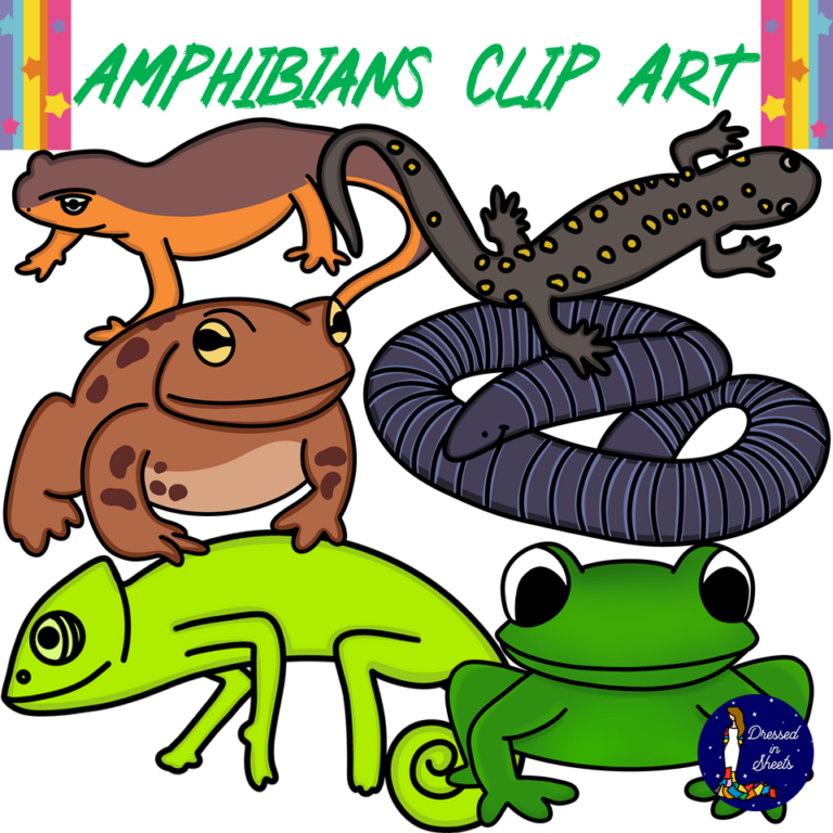 Amphibians Clip Art - Made By Teachers