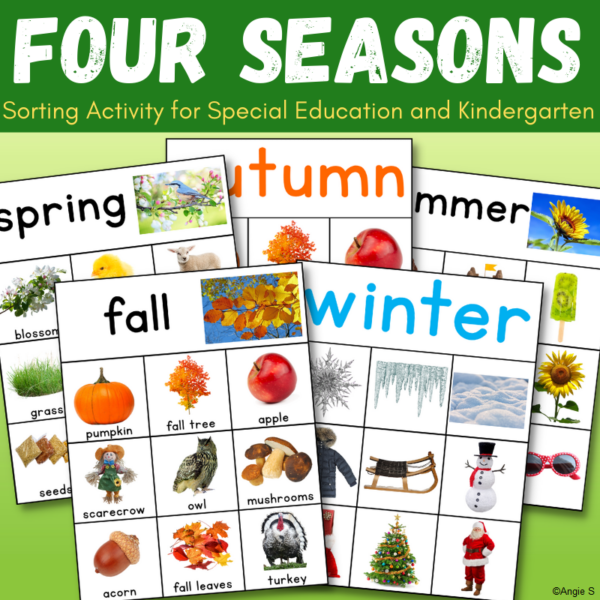 Four Seasons Activity | Season Sort for Special Ed - Made By Teachers